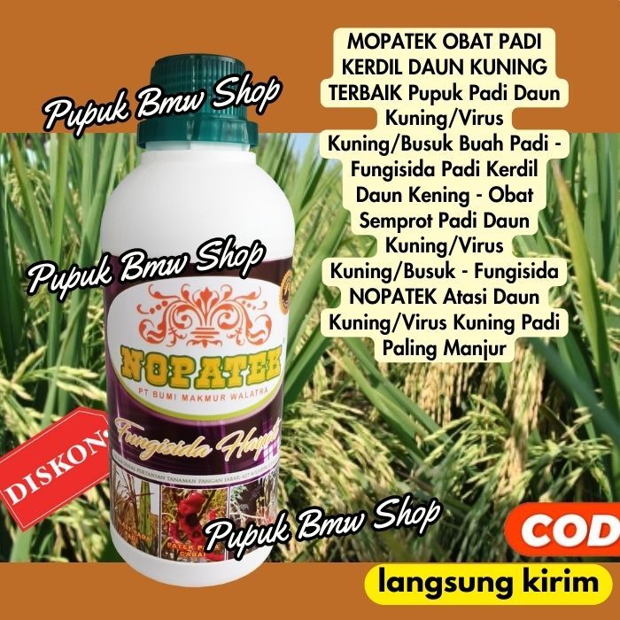 Jual NOPATEK OBAT PADI KERDIL DAUN KUNING TERBAIK Pupuk Padi Daun Kuning/Virus Kuning/Busuk Buah ...