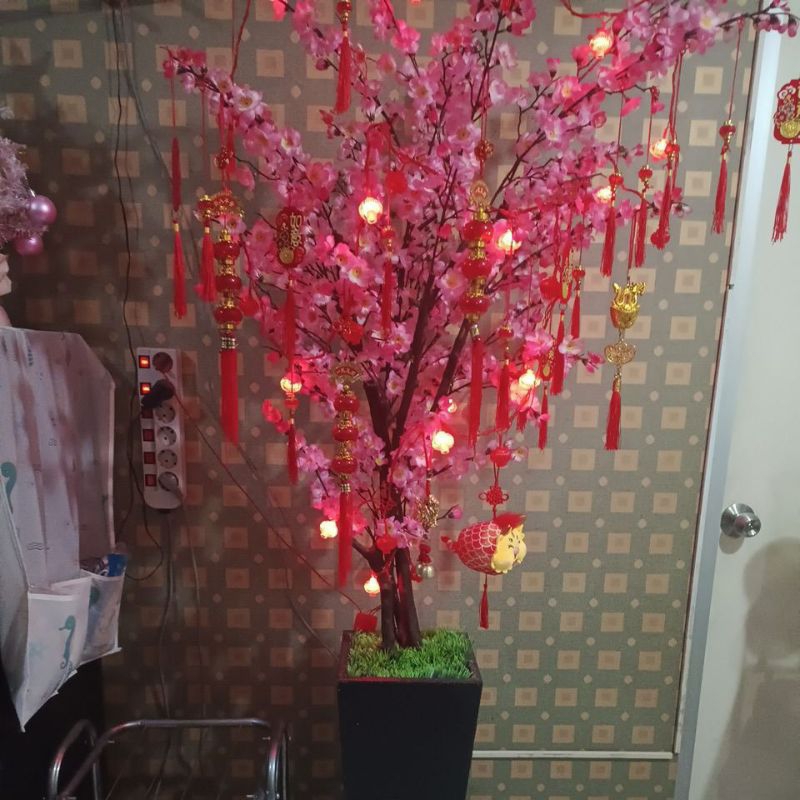 Jual pohon imlek meihua 160cm | Shopee Indonesia