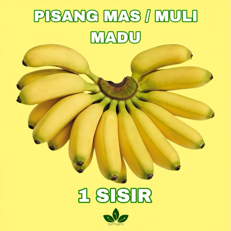 Jual PISANG MAS/MULI MADU 1 sisir. Harga per sisir | Shopee Indonesia