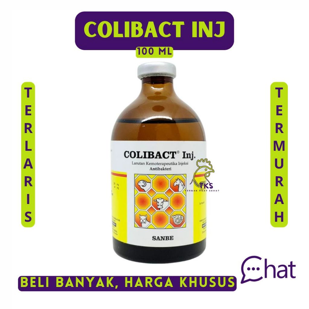 Jual COLIBACT INJEKSI 100ml - Obat Antibiotik Hewan Diare Batuk Pilek ...