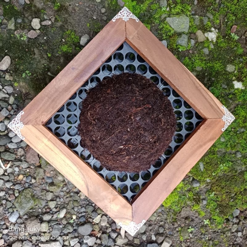 Jual frame platycerium/frame simbar/drainase cell simbar/media tanam ...