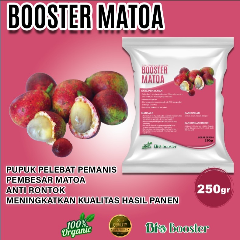 Jual Pupuk Booster Matoa kemasan 250gr pupuk organik pelebat pemanis dan pembesar buah matoa ...