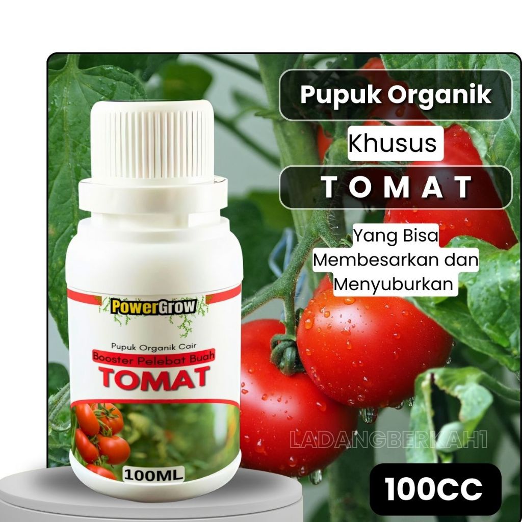 Jual Pupuk Tomat Agar Cepat Berbuah Lebat Subur Booster Tomat Pengurang Kerontokan Pada bunga ...