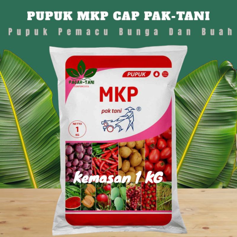 Jual PUPUK MKP CAP PAK-TANI 1KG PUPUK KALIUM BUNGA DAN HUAH | Shopee ...