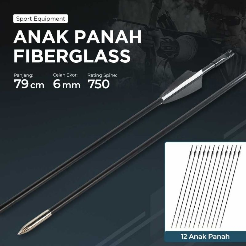 Jual Anak Panah Arrow Fiberglass 6mm for Recuve Bow 12 PCS | Shopee ...