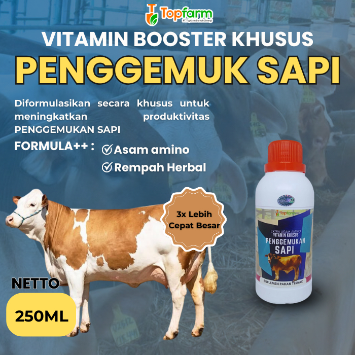 Jual Vitamin Penggemuk Sapi 250ML/ Obat Penggemuk Sapi/ Obat Penggemuk ...