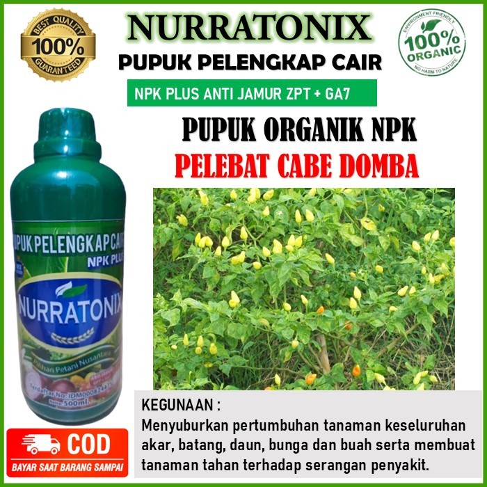 Jual PUPUK PELENGKAP CAIR NPK PLUS ANTI JAMUR ZPT + GA7 NURRATONIX pupuk pelebat cengek domba ...