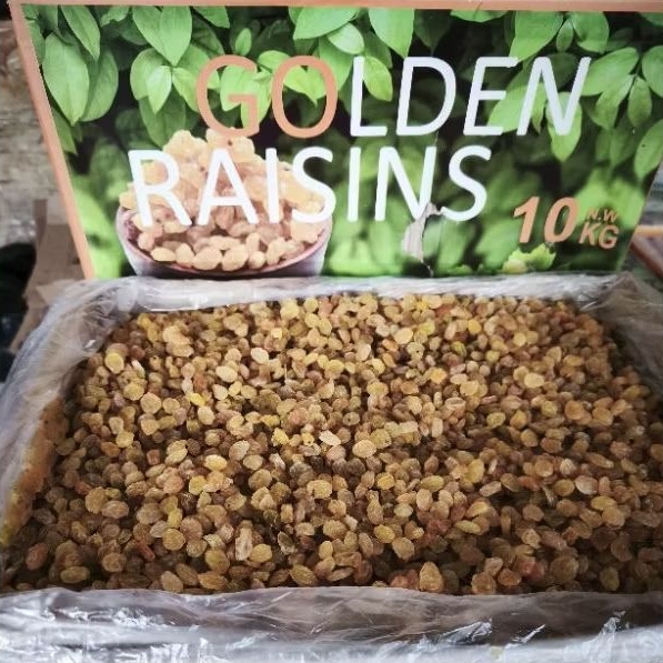 Jual Kismis manis golden raisins 10kg buah anggur kering | Shopee Indonesia