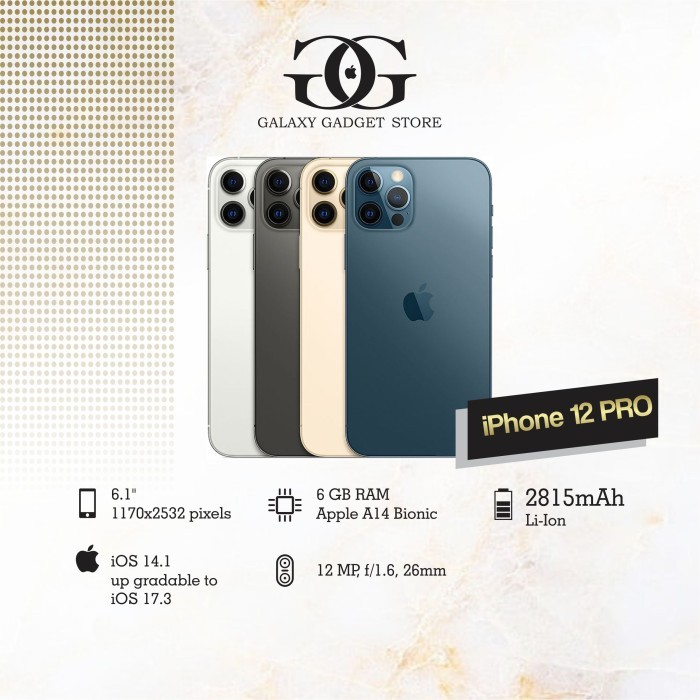 Jual IPHONE 12 PRO IMEI PERMENENT (TERDAFTAR BEACUKAI) | Shopee Indonesia