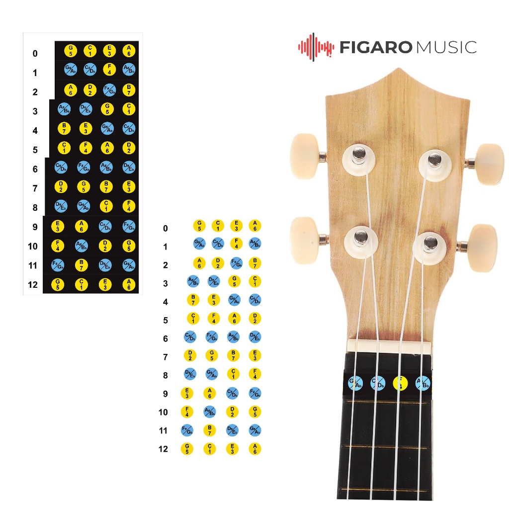Jual Stiker Ukulele Penanda Fretboard Ukulele Label Sticker Nada ...