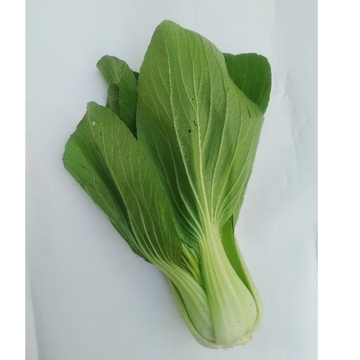 Jual sayur sawi pakcoy segar konvensional | Shopee Indonesia