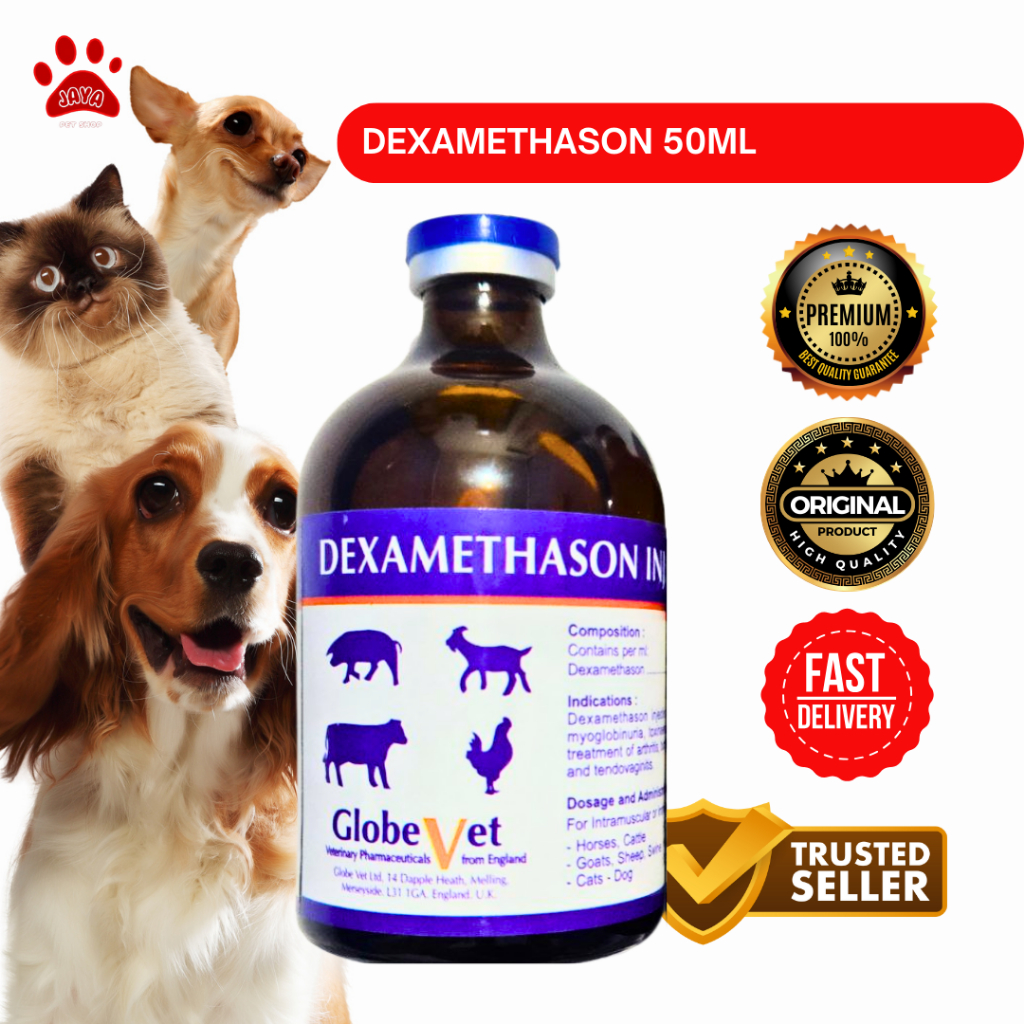 Jual Dexa Globe Vet 100 ml - DEXAMETHASON | Shopee Indonesia