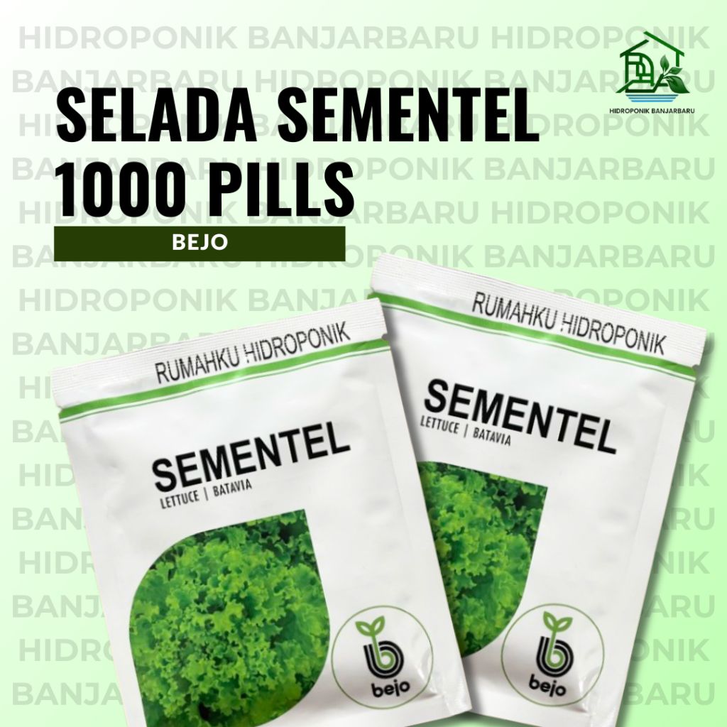 Jual BENIH SELADA KERITING SEMENTEL LETTUCE BATAVIA BEJO SEED 1000 ...