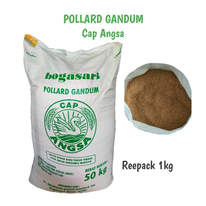 Jual Pollard Gandum Bogasari Cap Angsa Reepack 1kg | Shopee Indonesia