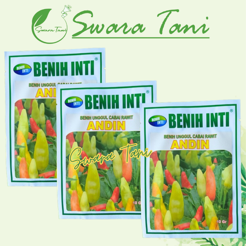 Jual Benih Cabe Rawit Tegak ANDIN 10 gram Cap BENIH INTI Buah Lebat ...