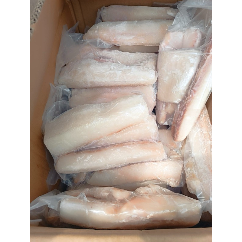 Jual Ikan Cucut Fillet 1 KG | Shopee Indonesia