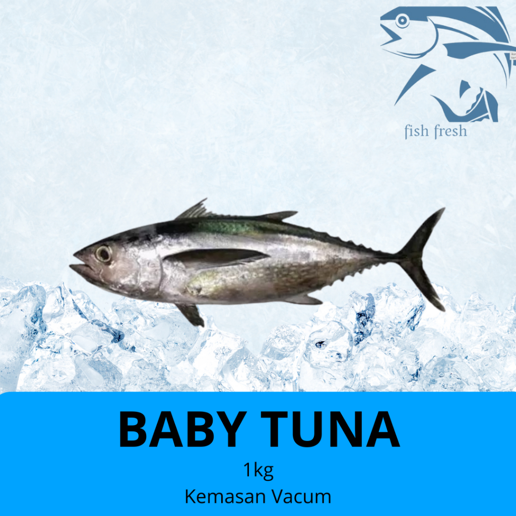 Jual IKAN BABY TUNA FROZEN 1 KG KUALITAS SUPER | Shopee Indonesia