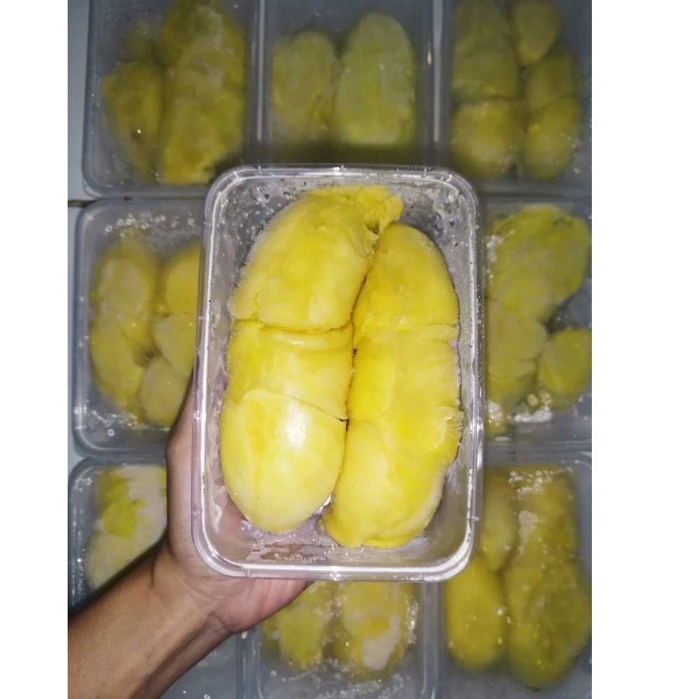 Jual DURIAN MONTHONG MONTONG DURIAN MONTHONG PREMIUM / DURIAN MONTONG ...
