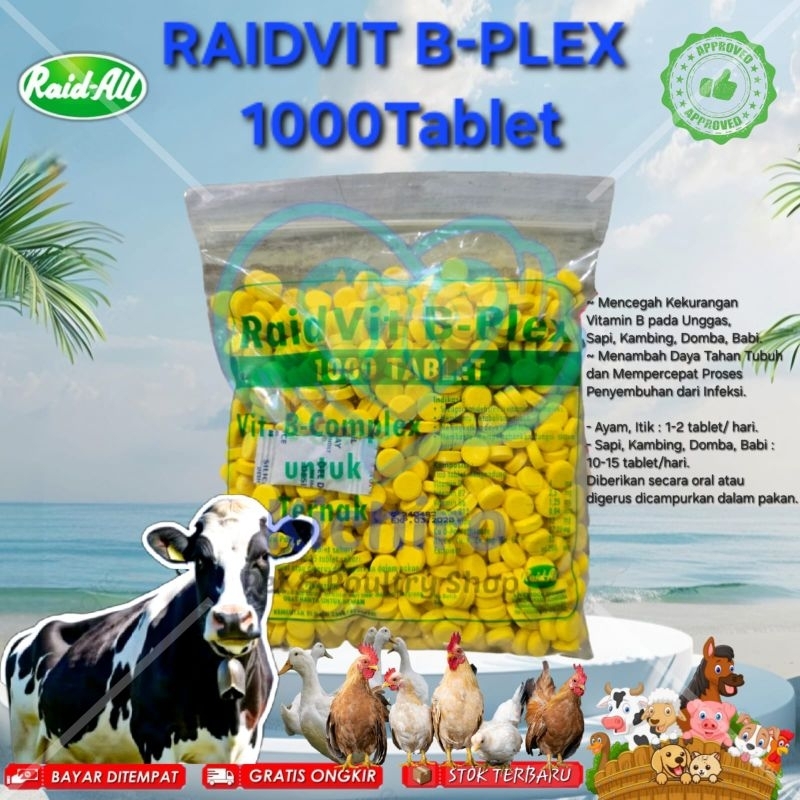 Jual Raidvit B-Plex ( Becomp ) Bcomplex / Bkomplek Isi 1000 Tablet Raid All Vitamin B Complex ...