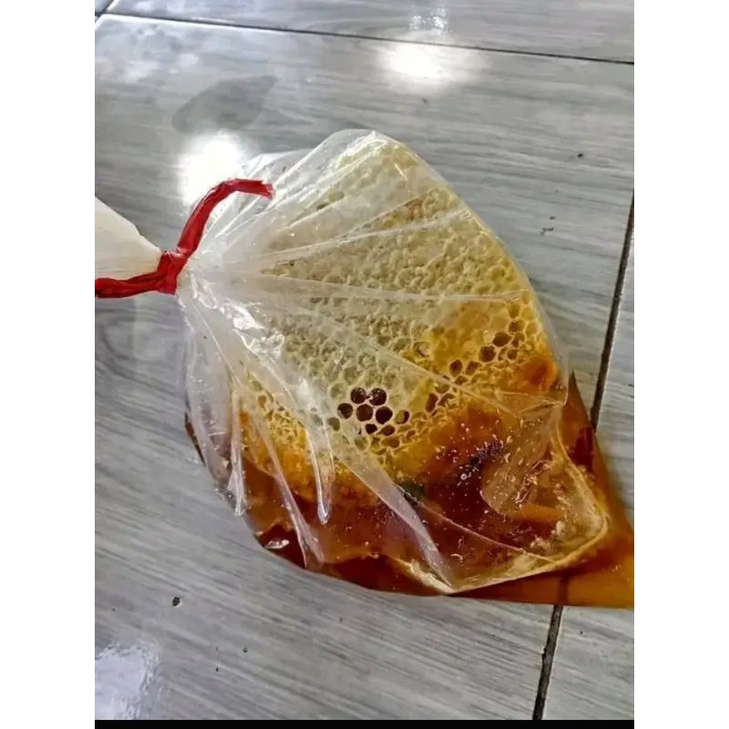 Jual MADU LEBAH DORSATA HUTAN LIAR 100% ASLI MURNI. isi madu 450 mili ...