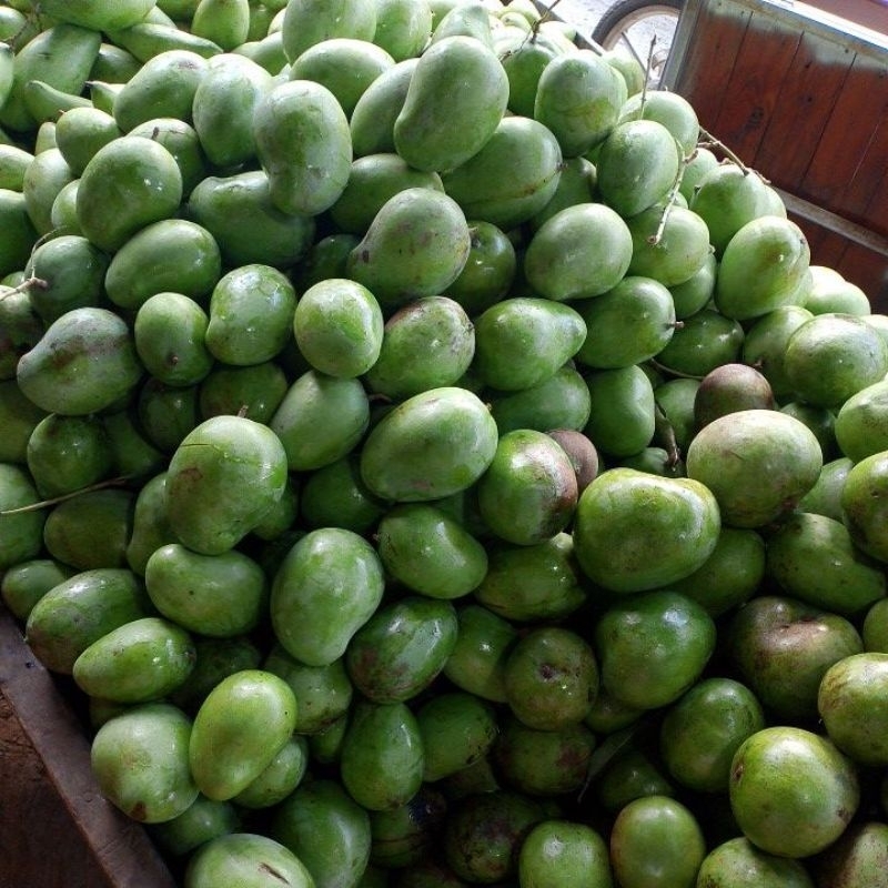 Jual mangga muda ukuran BESAR 1KG | Shopee Indonesia
