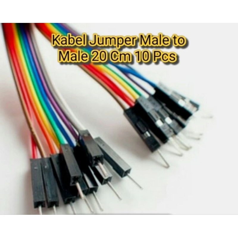 Jual kabel jumper male to male 10pin 20cm 10 pin | Shopee Indonesia