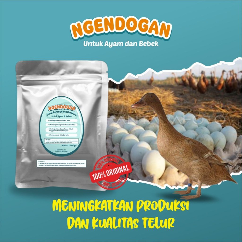 Jual Ngendogan Vitamin Bebek Petelur Pemacu Ternak Meningkatkan Cepat ...