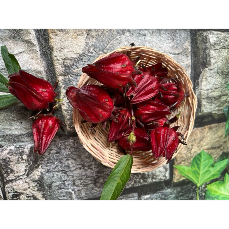 Jual Bunga rosella 60 gram | Shopee Indonesia