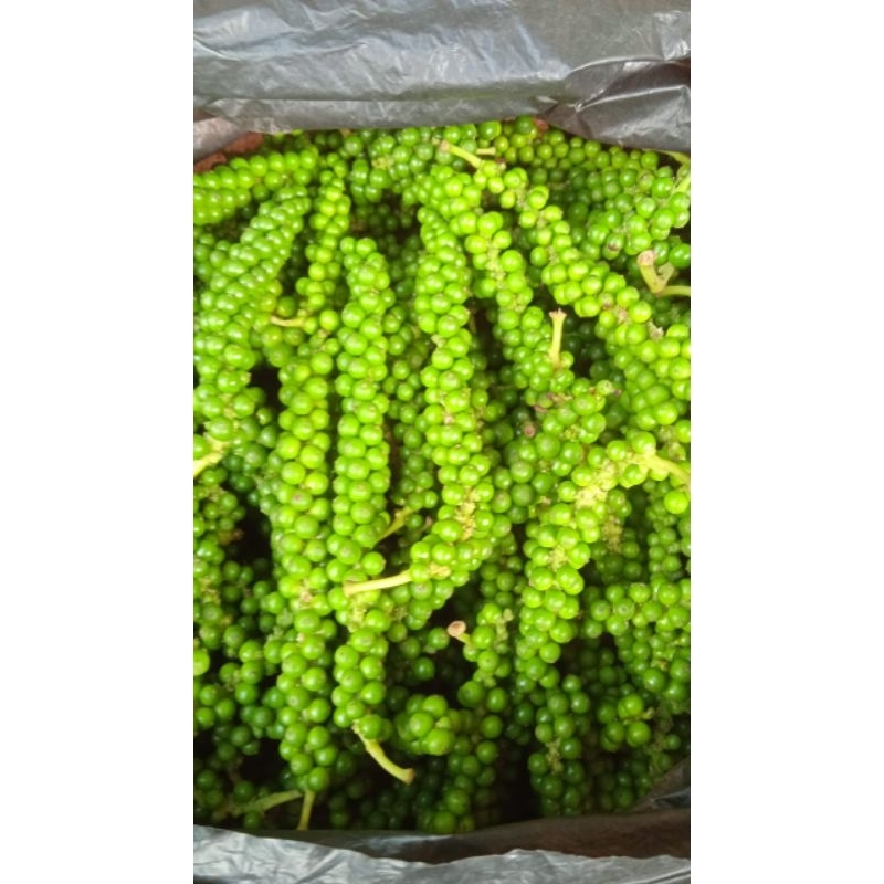 Jual Lada hijau segar per 500 grm | Shopee Indonesia