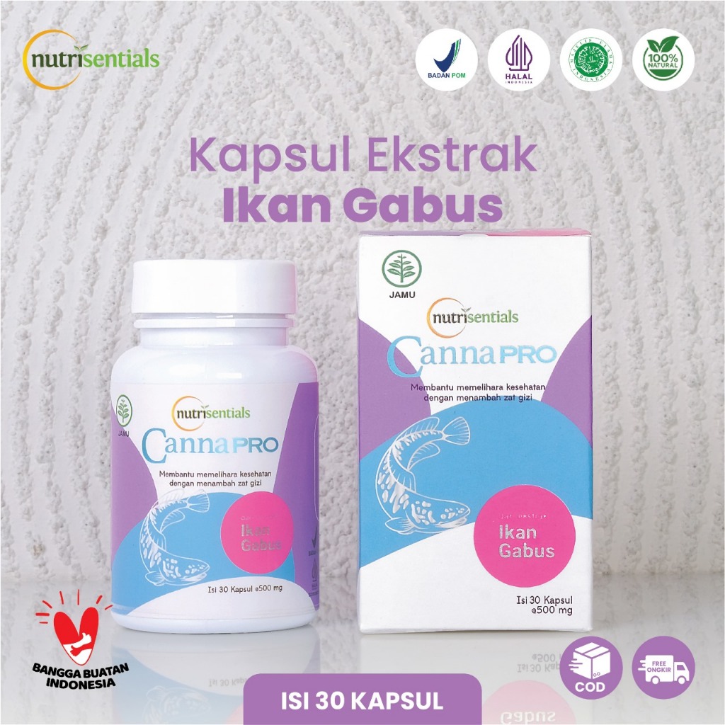Jual Nutrisentials Cannapro Kapsul Kutuk - Kapsul Ikan Gabus Albumin isi 30 Kapsul | Shopee ...