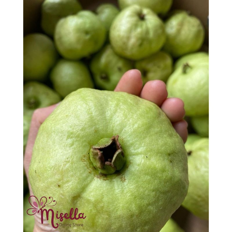 Jual Jambu Kristal Segar Berat 1 Kg | Shopee Indonesia