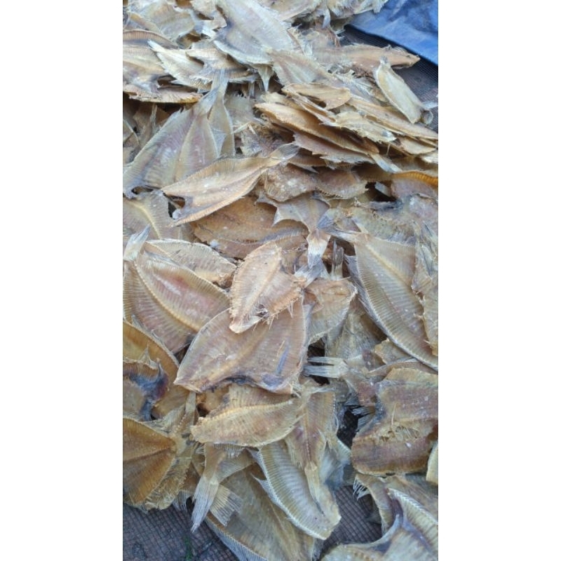 Jual ikan pihi kering bubuk/kaldu ikan 100gram | Shopee Indonesia