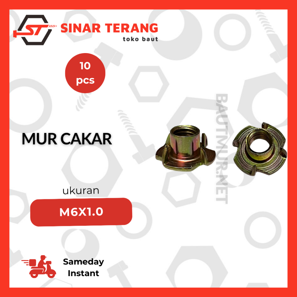 Jual (10pcs) Mur Cakar 6 x 1.0 - Tee Nut 6mm - Mur Tanam kayu | Shopee ...