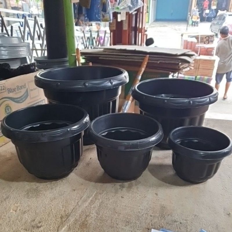 Jual pot phylia hitam bulat / segi 8 | Shopee Indonesia