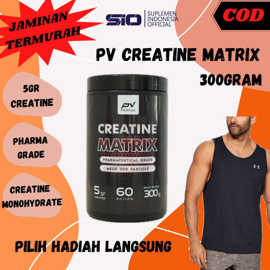 Jual PROVUS CREATINE MATRIX 300GR UNFLAVORED 60 SERVING Creatine ...