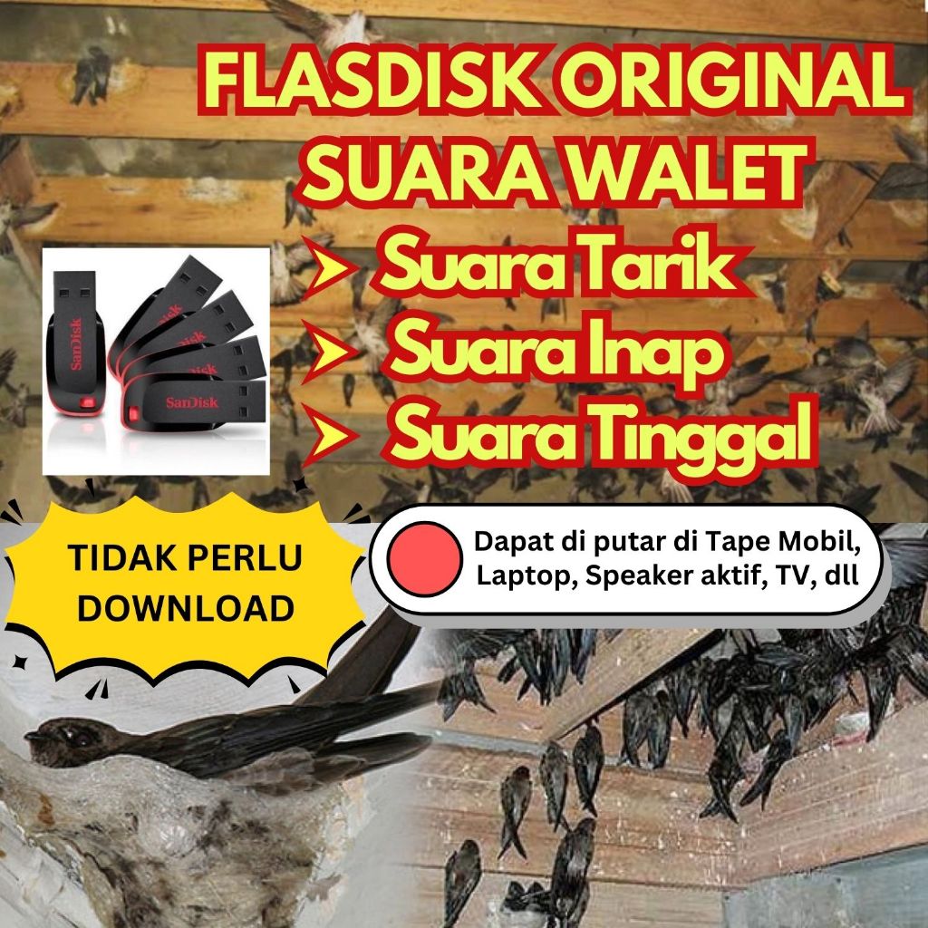 Jual Suara Walet Asli Flesdisk Penarik Burung Walet Plesdis Masteran ...