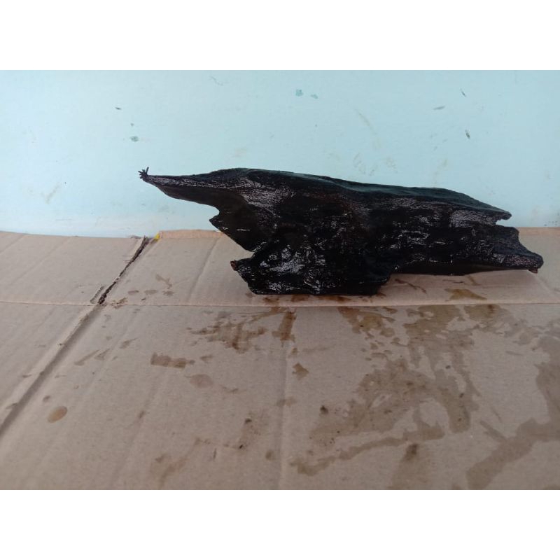 Jual Kayu rentek ukuran mini dan unik 20 cm | Shopee Indonesia