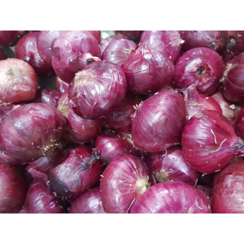 Jual Bawang Merah India/Bawang Peking 1kg. | Shopee Indonesia