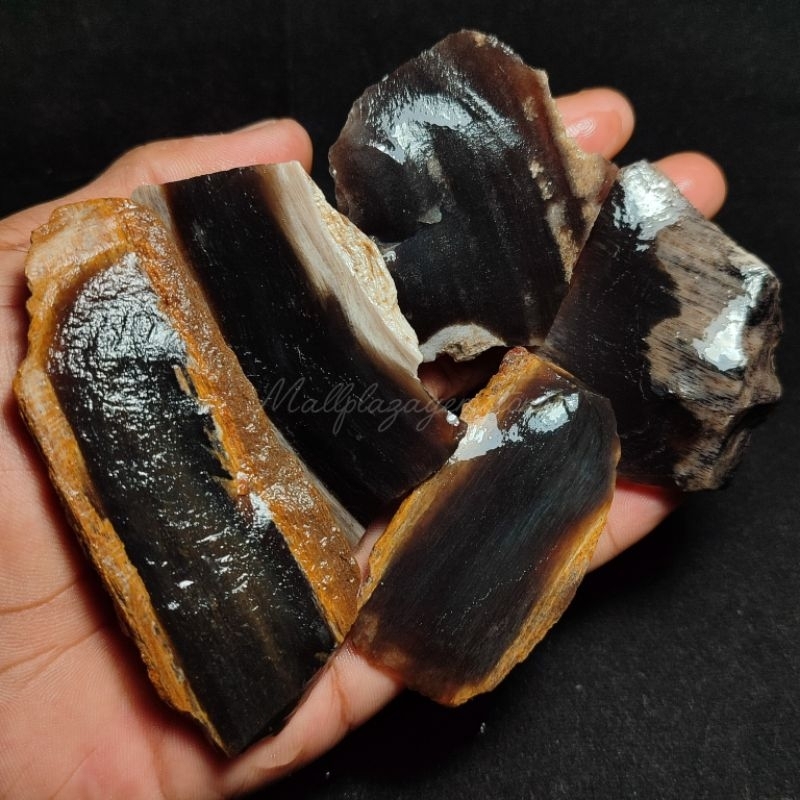 Jual natural batu posil kelor kristal / posil kayu kristal / bongkahal ...