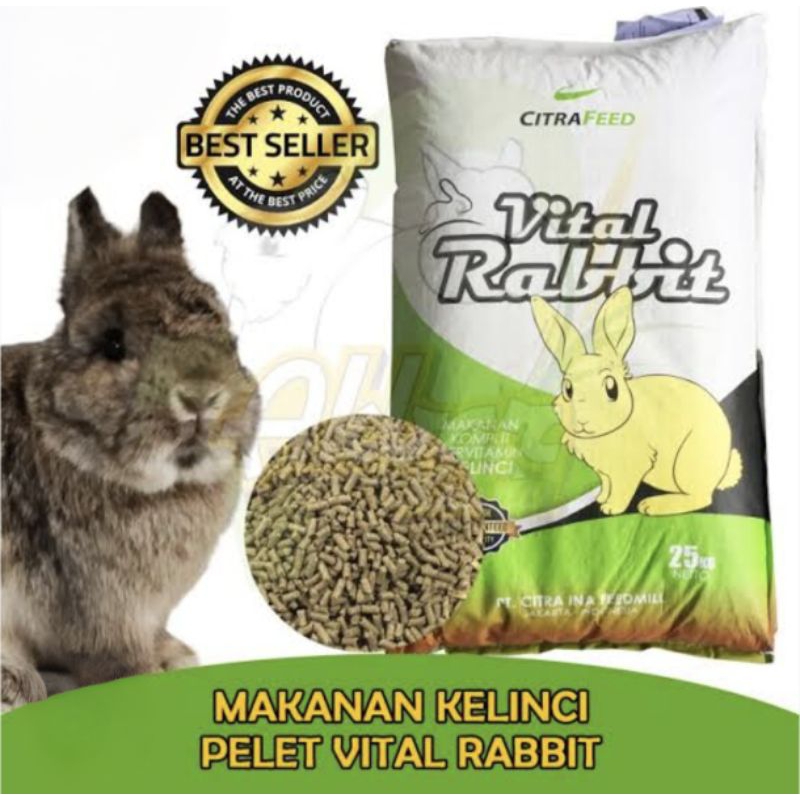 Jual Vital rabbit pakan PELLET kelinci pakan lengkap untuk kelinci ...