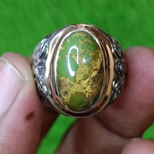 Jual Pirus Persia Hijau ijo pupus limited item | Shopee Indonesia