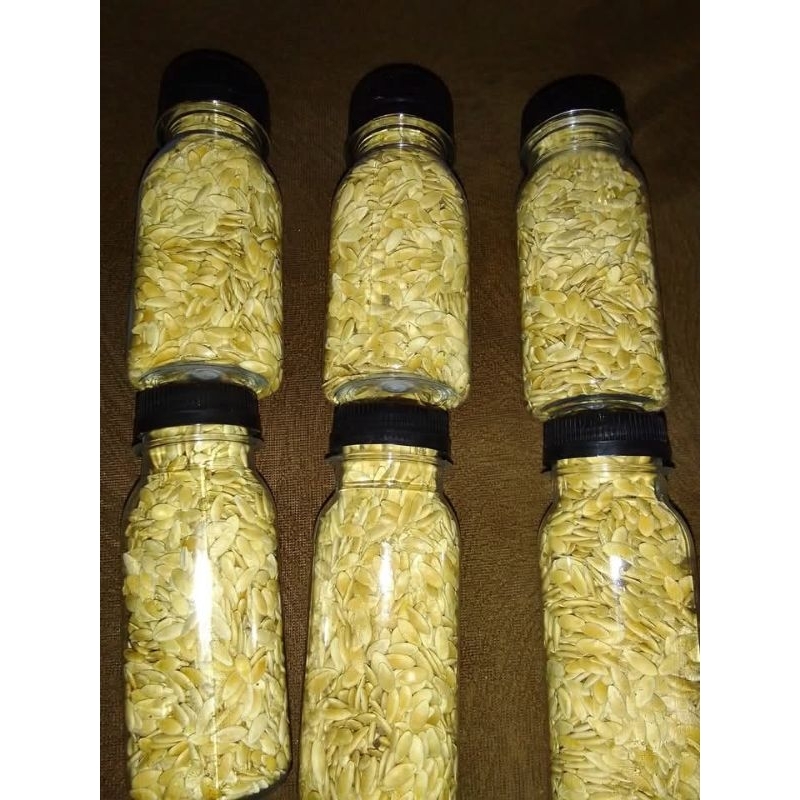 Jual Benih Timun suri per botol isi 1500+/ Biji timun suri Unggulan 100 ...