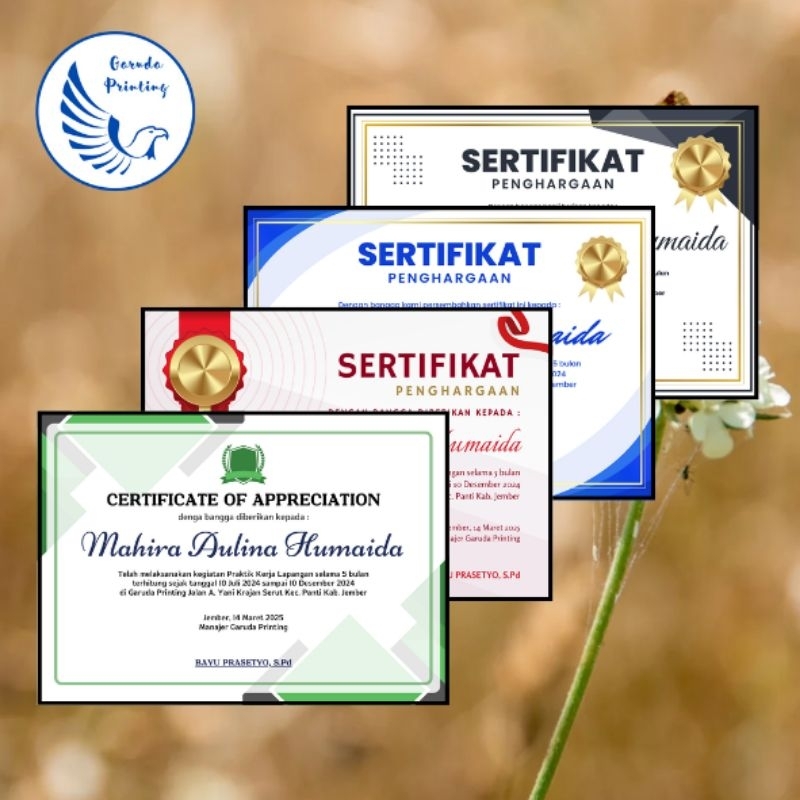 Jual Cetak Sertifikat Piagam DIKLAT PKL PSG PRAKERIN MAGANG A4 Bahan ...