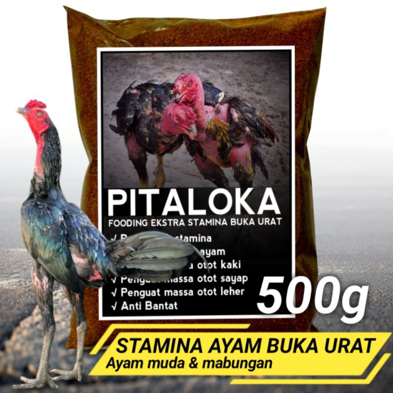 Jual doping tenaga ayam Pama Mangon pakhoy | Shopee Indonesia