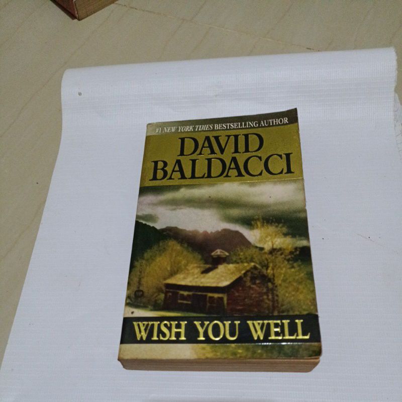 Jual Novel import David Baldacci - Wish you well | Shopee Indonesia