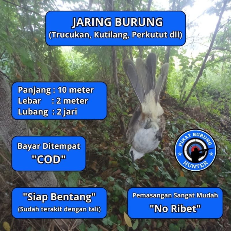 Jual JARING JERAT BURUNG TRUCUKAN JARINGAN BURUNG SIAP PAKE JARING ...