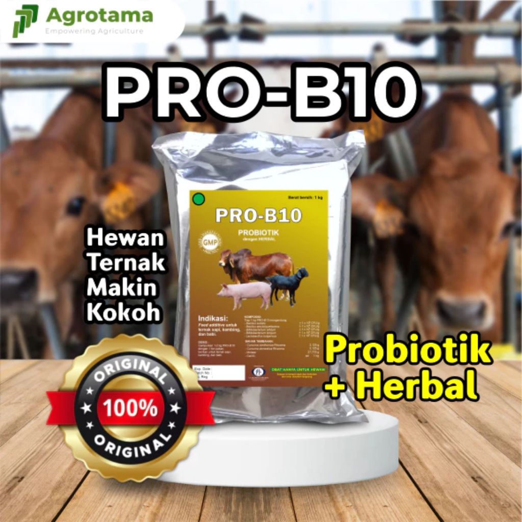 Jual Probio 1 Kg Mineral Probiotik Premix Penggemuk Sapi Kambing Domba ...