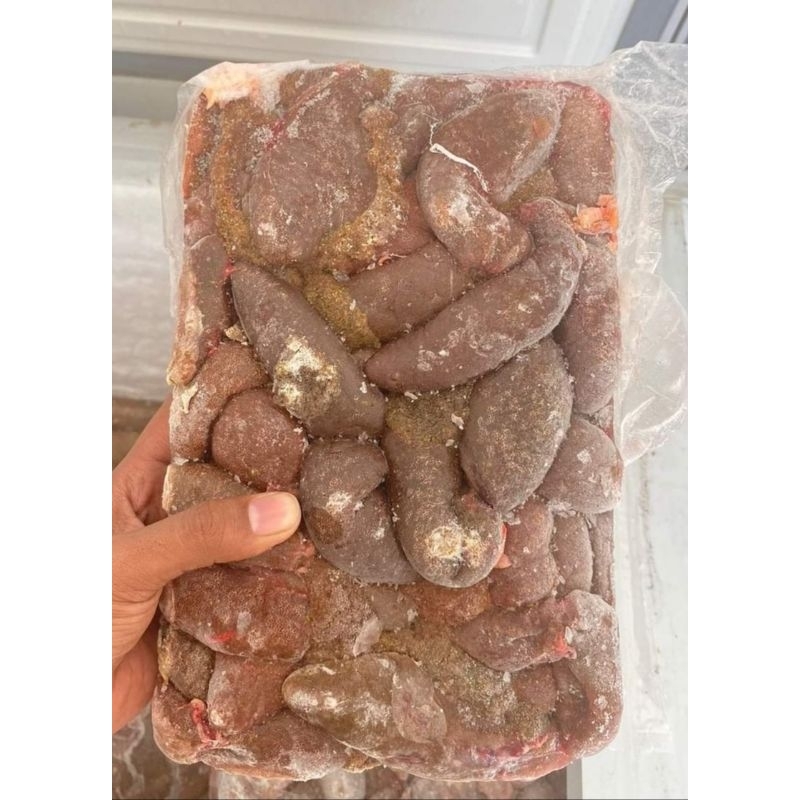 Jual Telur ikan lele frozen 500gram | Shopee Indonesia