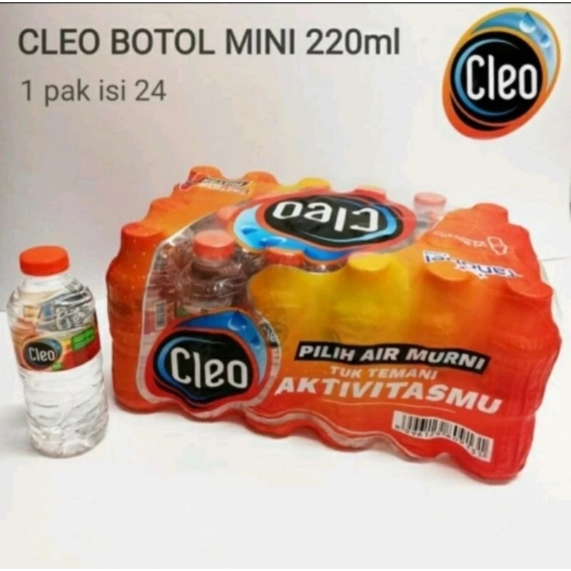 Jual Air Minum Mineral Cleo 220ml Kartonan/Dus | Shopee Indonesia