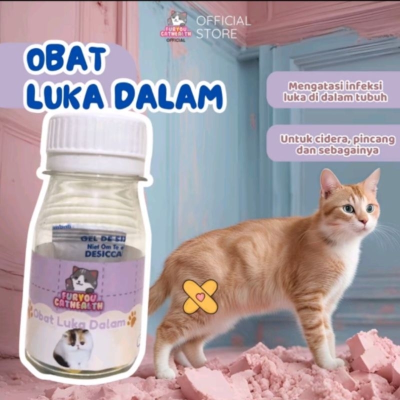 Jual Luka dalam kucing bengkak pincang keseleo suplemen | Shopee Indonesia